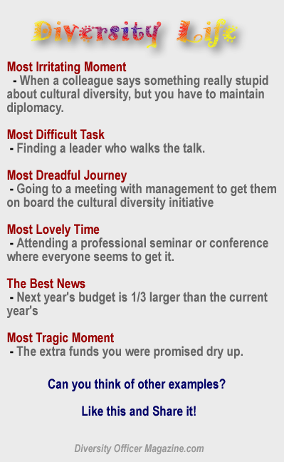 Life of the Diversity Professional